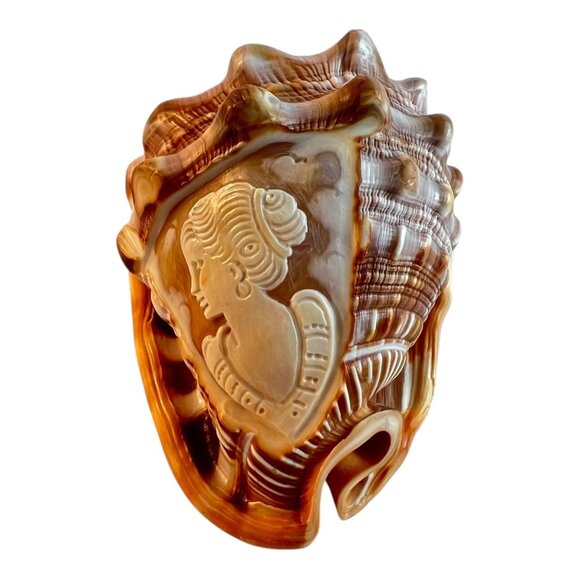 Accents | Vintage Cameo Hand Carved Relief Conch Shell Made In Italy ...